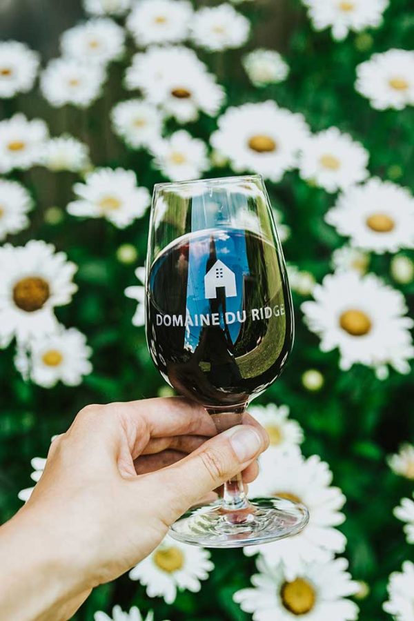 Vignoble Domaine du ridge - Sur la route des vins